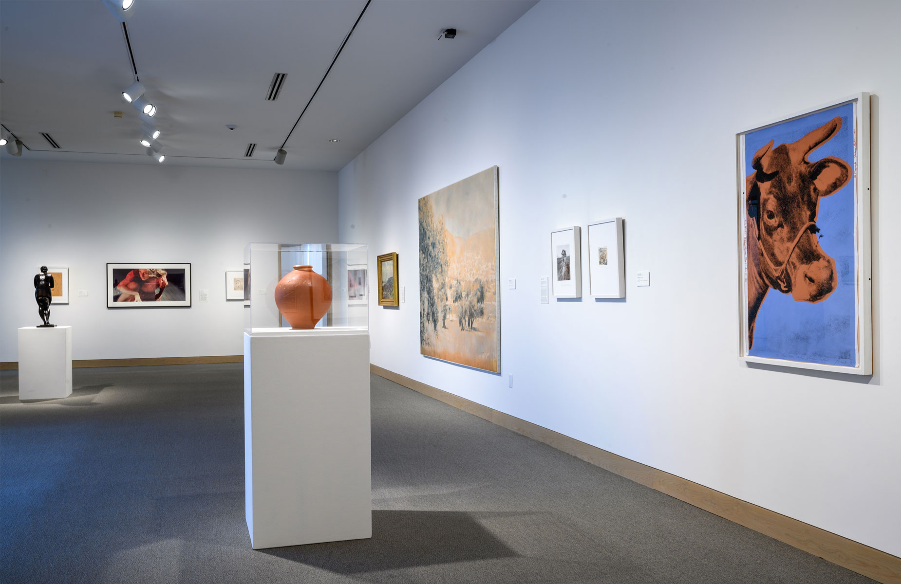 The Cone Family Legacy, Installation-4 - Weatherspoon Art Museum